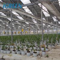 China Solar Gray Polycarbonate Sheet Greenhouse For Aquaponics Farming System for sale