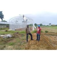 China 5 Meter Shoulder Tropical Agricultural Greenhouse Umbrella Roof Vent Single Span Greenhouse for sale