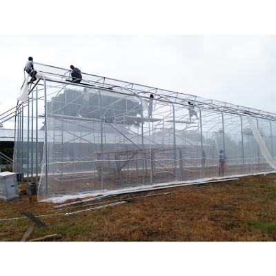 China 200micron PE Film Ventilation System Greenhouse High Security Weather Proof for sale