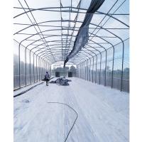 China Umbrella Structure Agricultural Greenhouse 8m Height Wide Span Greenhouse for sale