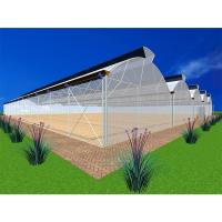 China 7.5M Height Single Span Greenhouse 300sqm Customized Tropical Green House for sale