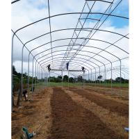China Grow Vegetables Single Span Greenhouse Flowers Tropical Climate Greenhouse for sale