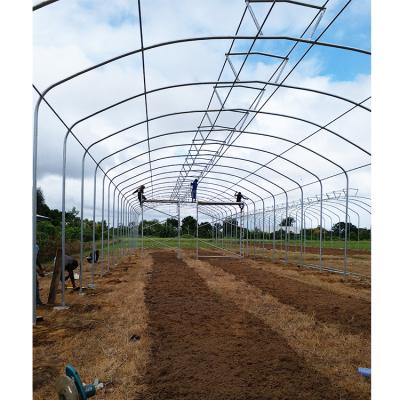 China Grow Vegetables Single Span Greenhouse Flowers Tropical Climate Greenhouse for sale