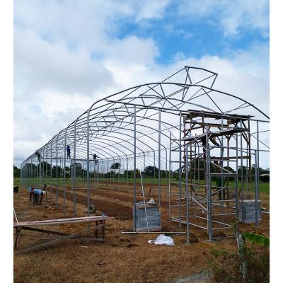 China Single Layer Wind Resistant Greenhouse Rain Shelter For Maximum Protection for sale