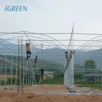 China 200 Micron Plastic Film Greenhouse Shade Cloth Roof Height 7 Meters for Strawberry for sale