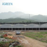 China 200 Micron Plastic Film Greenhouse Shade Cloth Roof Height 7 Meters for Strawberry for sale