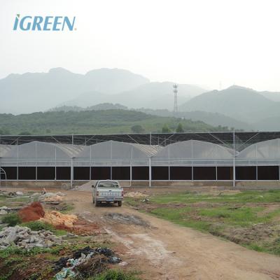 China 200 Micron Plastic Film Greenhouse Shade Cloth Roof Height 7 Meters for Strawberry for sale