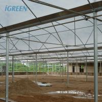 China 200 Micron Plastic Film Greenhouse Shade Cloth Roof Height 7 Meters for Strawberry for sale