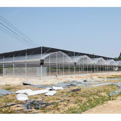 China Vegetable Garden Large Greenhouse Kit 30X100 Metal Frame Large Greenhouse Kit for sale