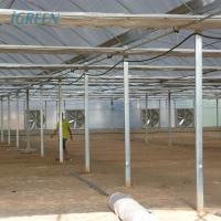 China 200 Micron Plastic Film Greenhouse Shade Cloth Roof Height 7 Meters for Strawberry for sale