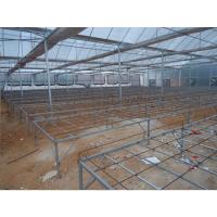 China Film Surface Outdoor Vegetable Greenhouse Kits For Fruits And Flower for sale