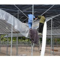 China Film Surface Outdoor Vegetable Greenhouse Kits For Fruits And Flower for sale
