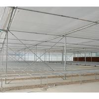 China Large Multi Span Greenhouse 200micron Plastic Film Greenhouse For Vegetables And Flowers for sale