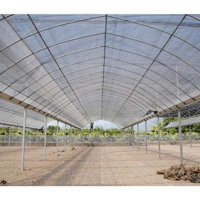 China Large Multi Span Greenhouse 200micron Plastic Film Greenhouse For Vegetables And Flowers for sale