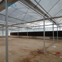 China Customized Length Multi-Span Agricultural Greenhouses in IGREE Eco Green House Design for sale