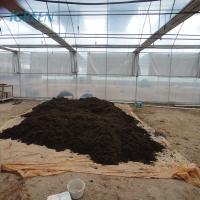 China Customized Length Multi-Span Agricultural Greenhouses in IGREE Eco Green House Design for sale