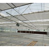 China No Roof Vent Agricultural Greenhouse Vegetable Growing Single Span Greenhouse for sale