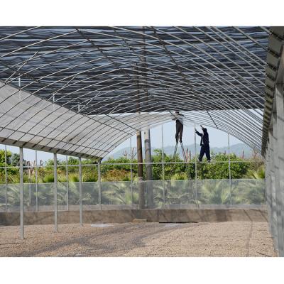 China Film Surface Outdoor Vegetable Greenhouse Kits For Fruits And Flower for sale