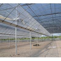 China 10m Tunnel Width Wide Span Greenhouse For Snail Farming with Irrigation System for sale