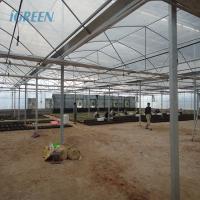 China Film Type High Tunnel Greenhouse Customizable For Flowers Farming Demands for sale