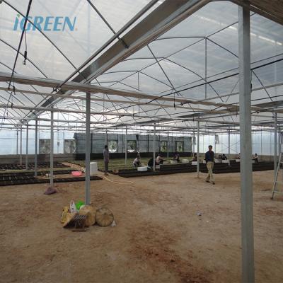 China Film Type High Tunnel Greenhouse Customizable For Flowers Farming Demands for sale