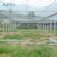 China 10m Tunnel Width Multi Span Greenhouse Hot Zone Desertic Wind Resistance Greenhouse for sale