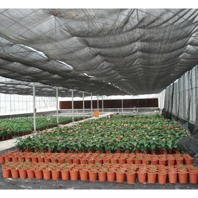 China 10m Tunnel Width Multi Span Greenhouse Hot Zone Desertic Wind Resistance Greenhouse for sale