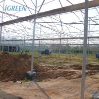 China Film Type Multi Span Greenhouse Wide Span Greenhouse With Steel Skeleton And Shoulder Height 2m for sale