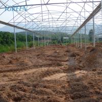 China Galvanized Steel Frame Commercial Orchid Greenhouse For Flower Professional Growers for sale