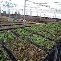 China Film Type High Tunnel Greenhouse Customizable For Flowers Farming Demands for sale