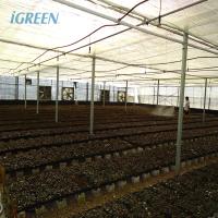China Film Type High Tunnel Greenhouse Customizable For Flowers Farming Demands for sale