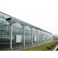 China Galvanized Steel Pipe Greenhouse with 275gsm Zinc Coating and Side Vent for sale