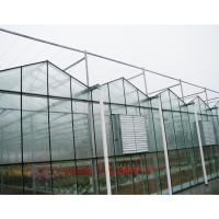 China Galvanized Steel Pipe Greenhouse with 275gsm Zinc Coating and Side Vent for sale