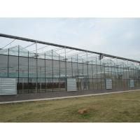 China Backyard Multi Span Greenhouse Outdoor Rainproof Large Glass Greenhouse for sale