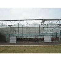 China Backyard Multi Span Greenhouse Outdoor Rainproof Large Glass Greenhouse for sale