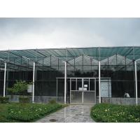 China Customizable Multi Span Greenhouse With Side Vent And Roof Height 3.73M for sale