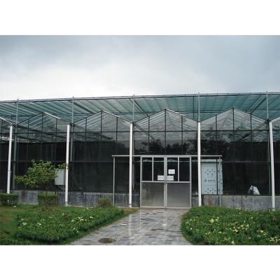 China Customizable Multi Span Greenhouse With Side Vent And Roof Height 3.73M for sale
