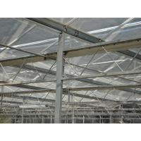 China Backyard Multi Span Greenhouse Outdoor Rainproof Large Glass Greenhouse for sale