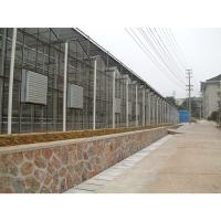 China Glass Covered Industrial Greenhouse with 3.73-7.73m Roof Height and Glass Panels for sale