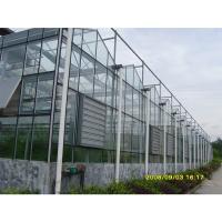 China 3-7m Shoulder Height Galvanized Steel Frame Commercial Glass Greenhouse for Flowers for sale