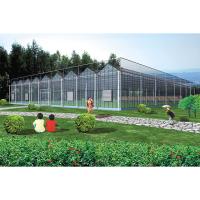 China 3-7m Shoulder Height Galvanized Steel Frame Commercial Glass Greenhouse for Flowers for sale