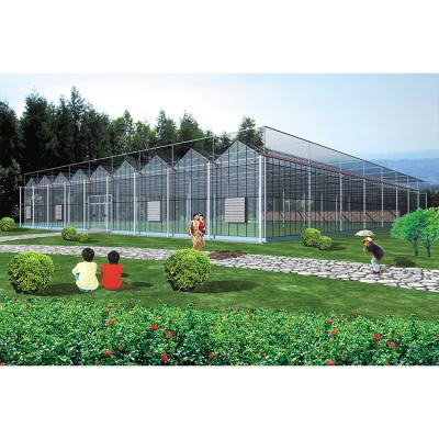 China 3-7m Shoulder Height Galvanized Steel Frame Commercial Glass Greenhouse for Flowers for sale