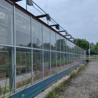 China 3-7m Shoulder Height Galvanized Steel Frame Commercial Glass Greenhouse for Flowers for sale