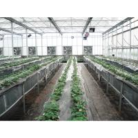 China Steel Flame Multi Span Greenhouse Commercial Glass Greenhouse With Winter Cover And Hydroponic System for sale