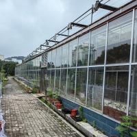 China Steel Flame Multi Span Greenhouse Commercial Glass Greenhouse With Winter Cover And Hydroponic System for sale