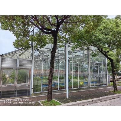 China IGREEN Agricultural Venlo Glass Greenhouse  to Grow Flowers and Seedlings for sale