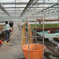 China IGREEN Agricultural Venlo Glass Greenhouse  to Grow Flowers and Seedlings for sale
