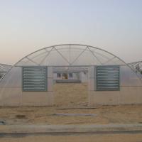 China Customize Agricultural Greenhouse Poly Film Greenhouse For vegetable growing for sale
