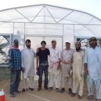 China PE Cooling System Agricultural Greenhouse Flower Growing Galvanized Steel Greenhouse for sale