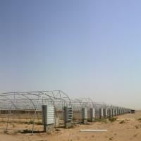 China PE Cooling System Agricultural Greenhouse Flower Growing Galvanized Steel Greenhouse for sale